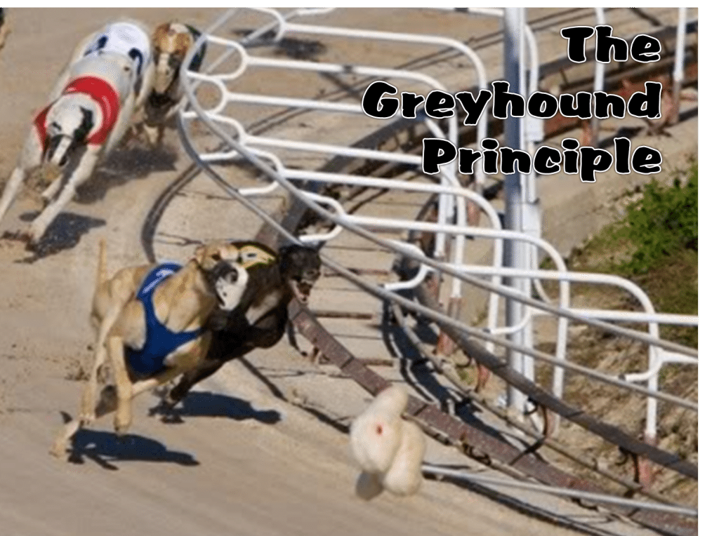 AA Greyhound chasing rabbit.jpg | What Will Matter