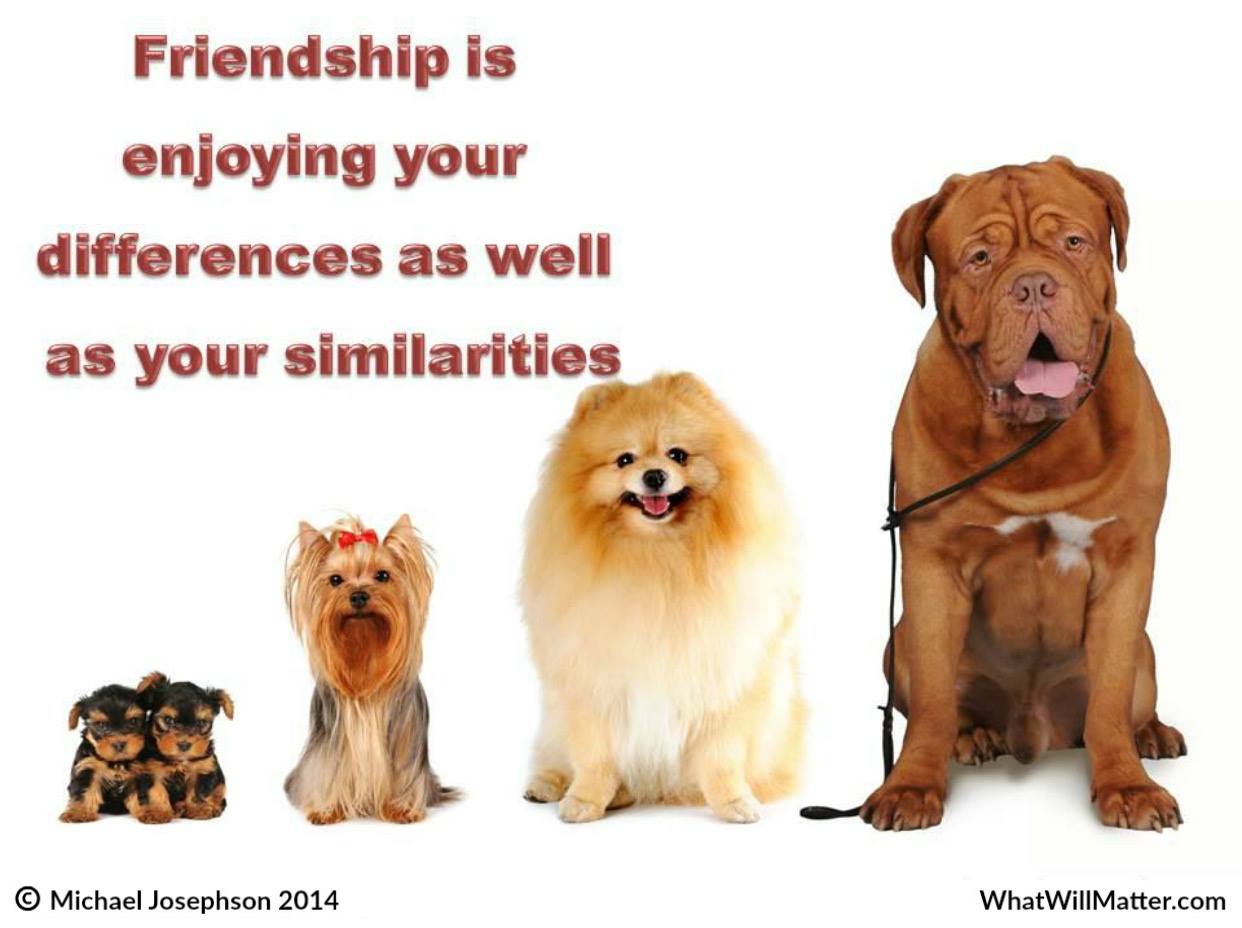 Friendship: Embracing Differences | What Will Matter