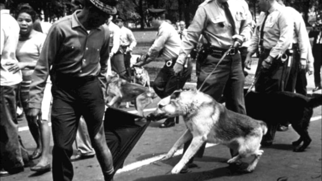 25 Searing Images of Segregation and Racism | What Will Matter