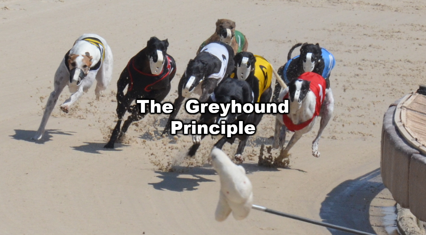 COMMENTARY: The Greyhound Principle | What Will Matter