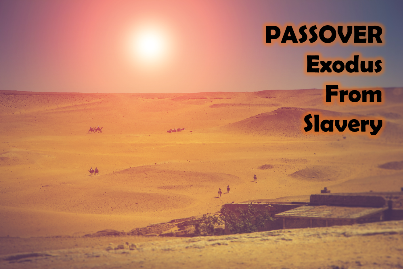Passover: Exodus to Freedom | What Will Matter