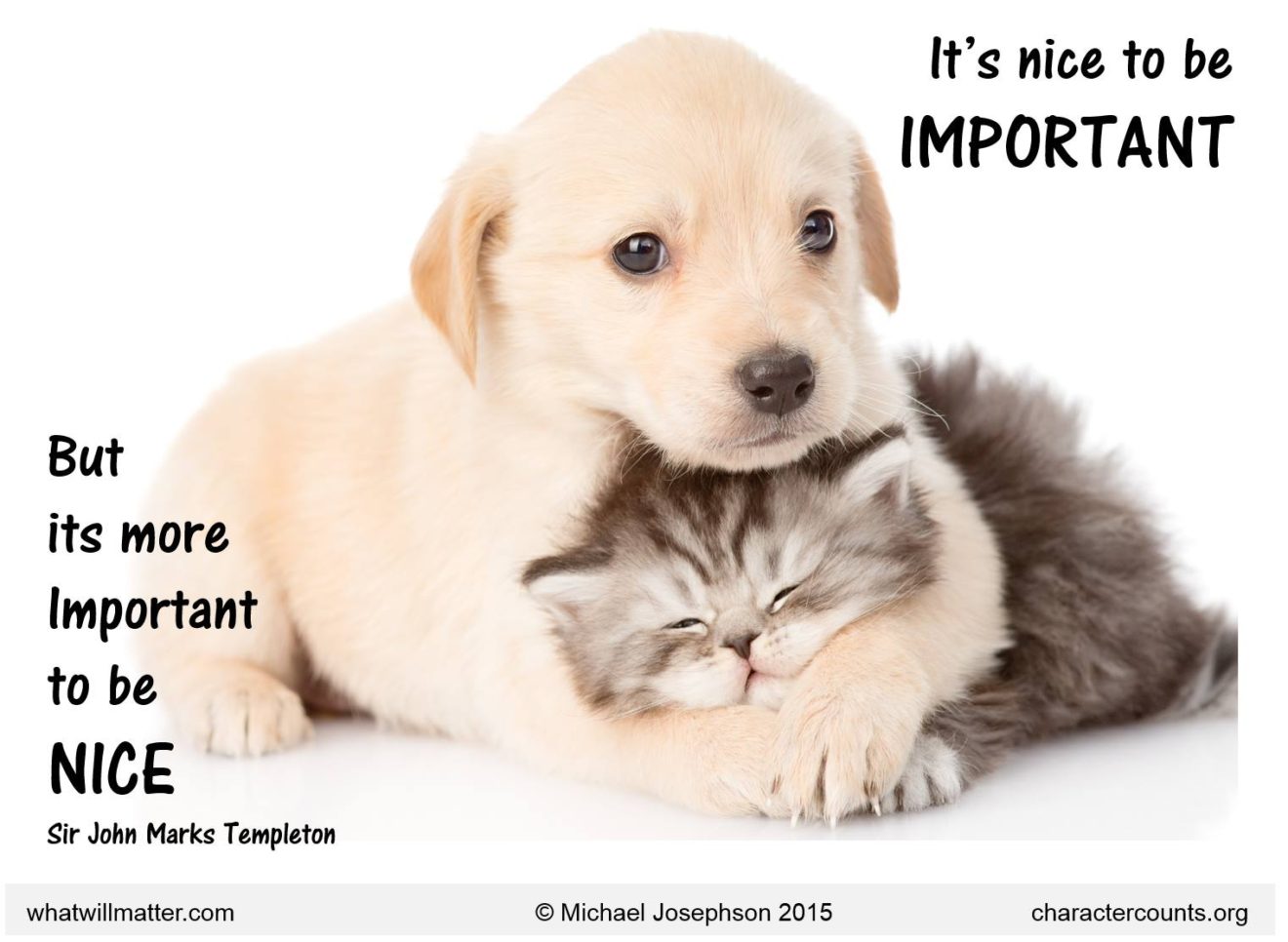 The Importance of Being Nice | What Will Matter